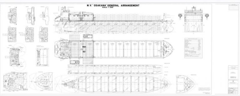 Lo reiteramos: El Contenedor de 53 pies llegó a los océanos para ...